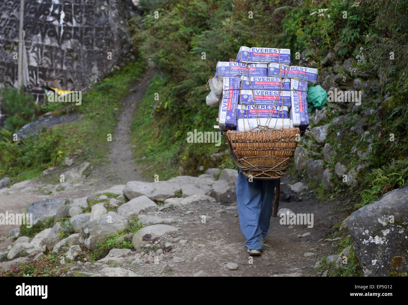 A typical Sherpa porter carrying a heavy load of beer and lager to ...