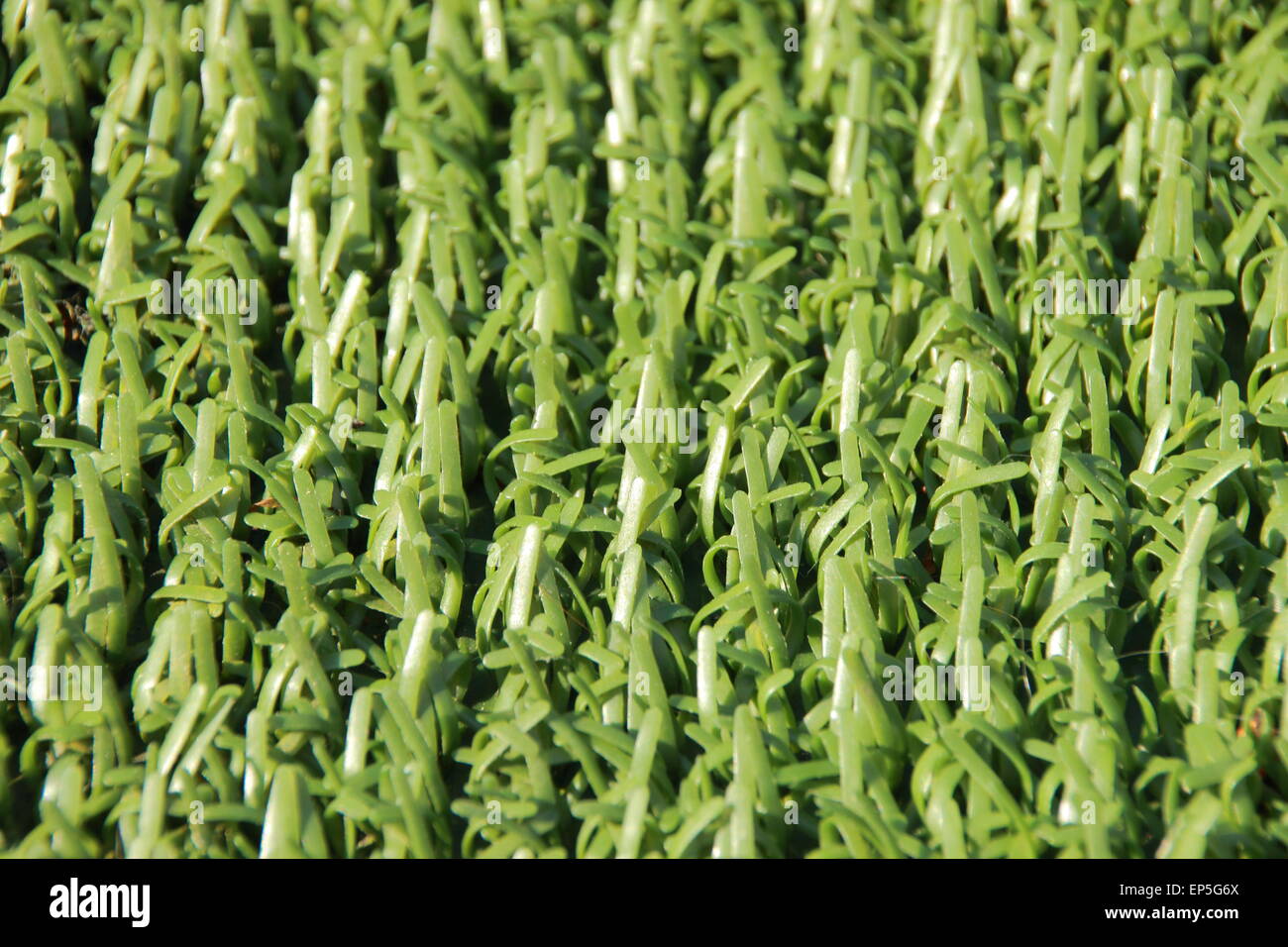 Grass texture perspective hi-res stock photography and images - Alamy