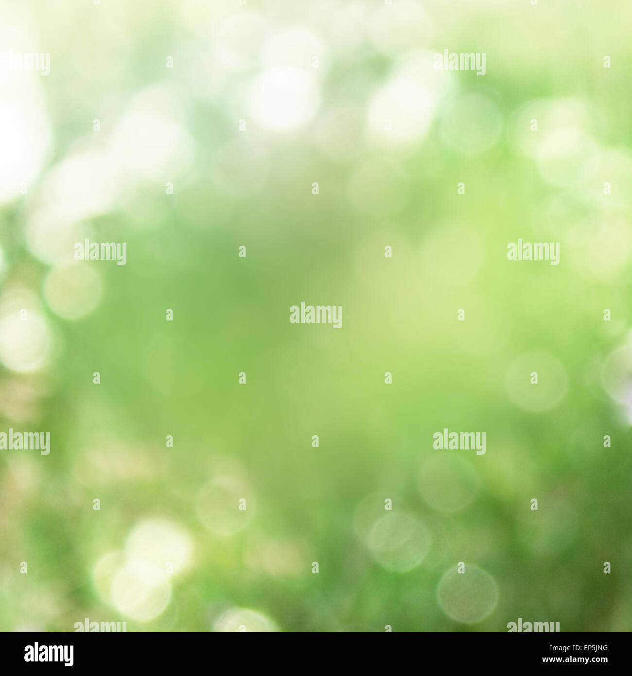 Abstract multicolored background with blur bokeh for design Stock Photo - Alamy
