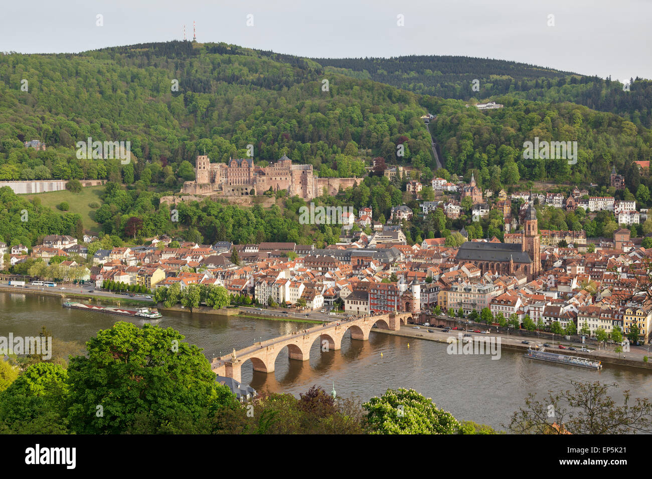 Heidelberg castle philosophenweg hi-res stock photography and images ...