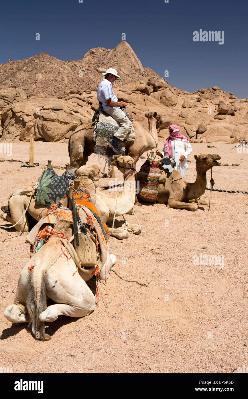 Egypt, Sinai, Sharm el Sheikh, Nabq National Park, Bedouin giving ...