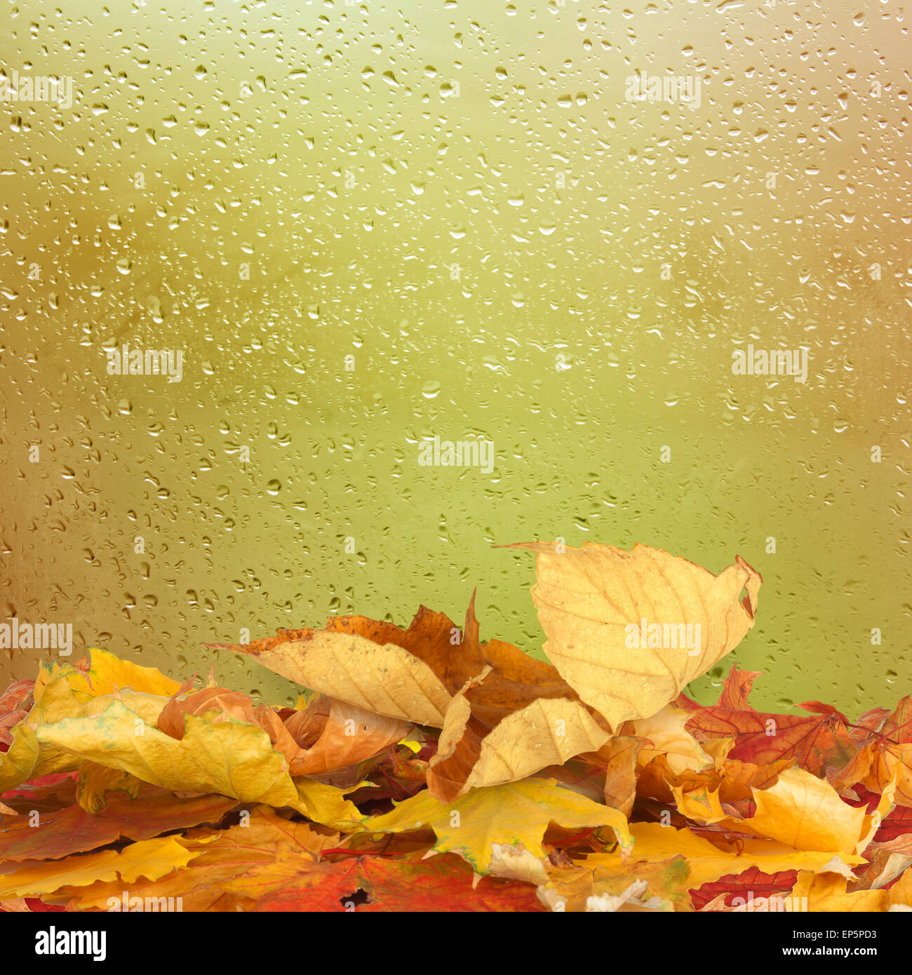 Golden glass pane texture hi-res stock photography and images - Alamy