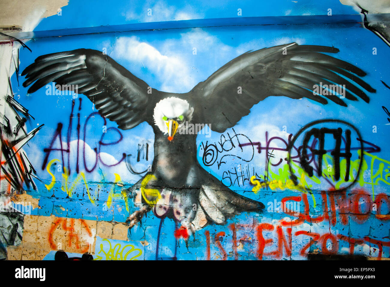 Eagle Graffiti Artwork