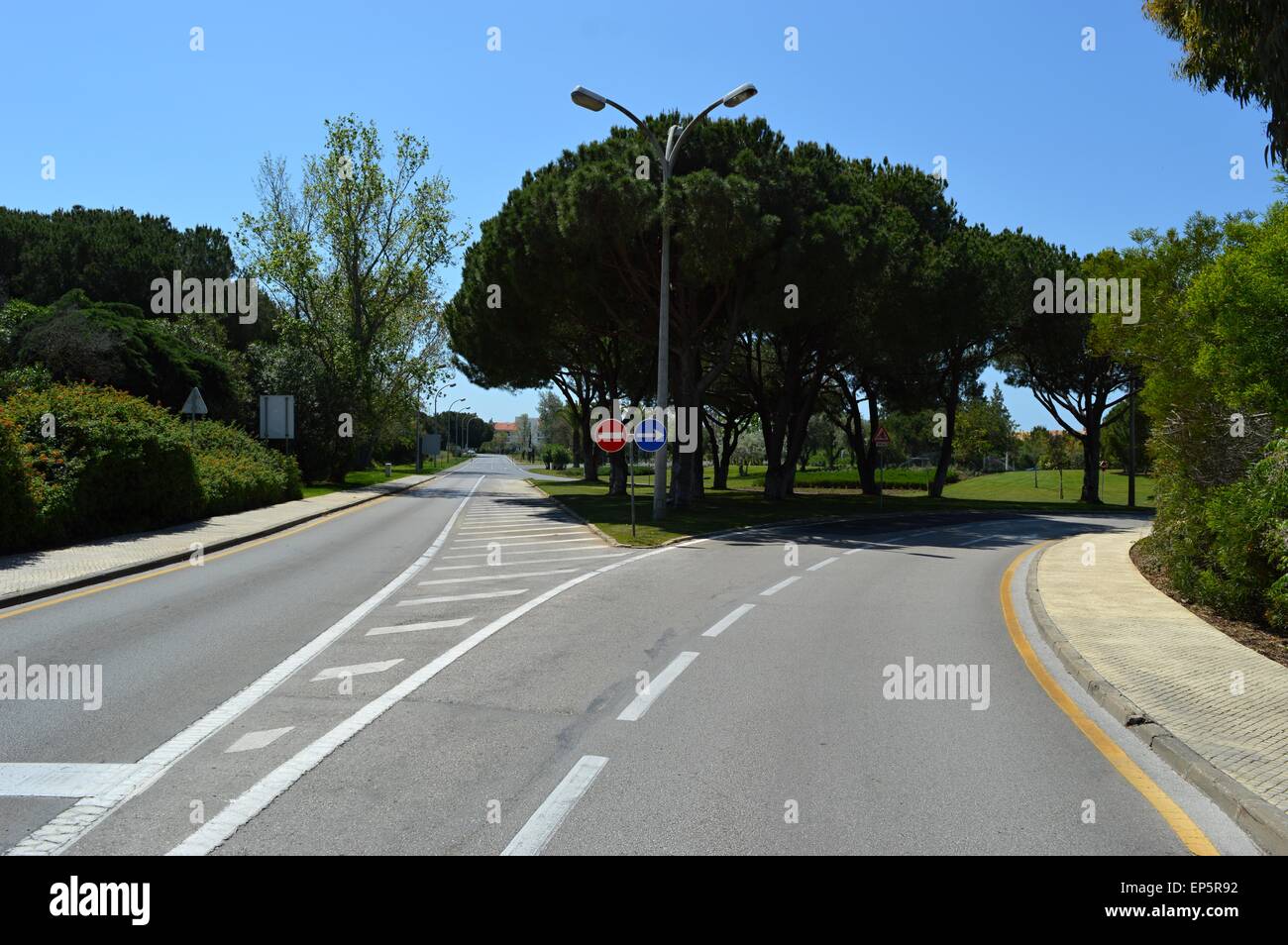 Road Junction with Trees Stock Photo - Alamy