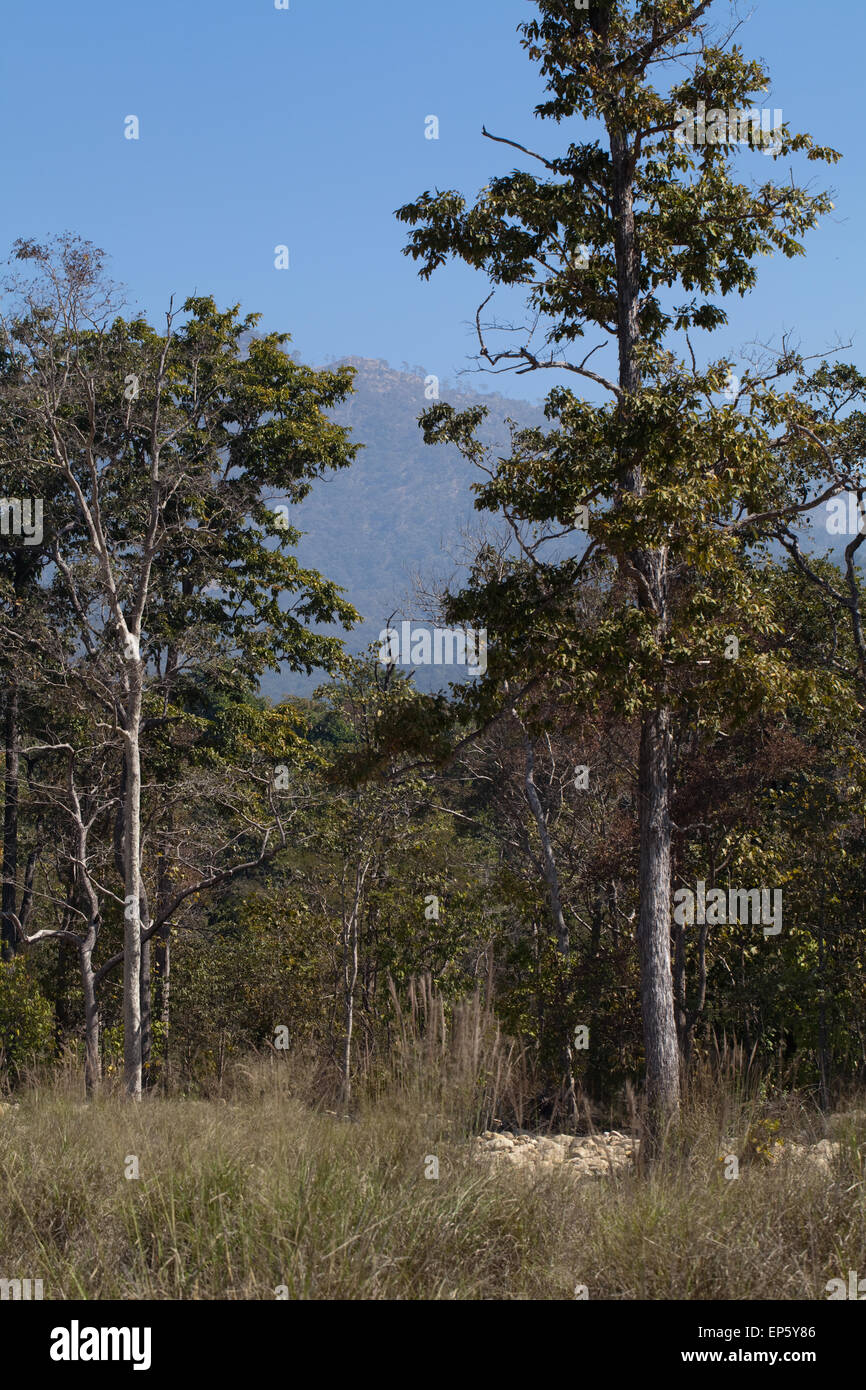Bardia National Park. Nepal. Shiwalik and Churia Hills. Foothills ...