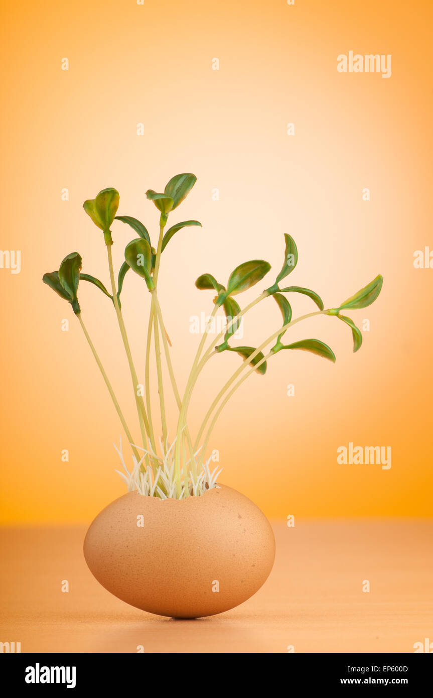 Eggs with green seedling in new life concept Stock Photo - Alamy