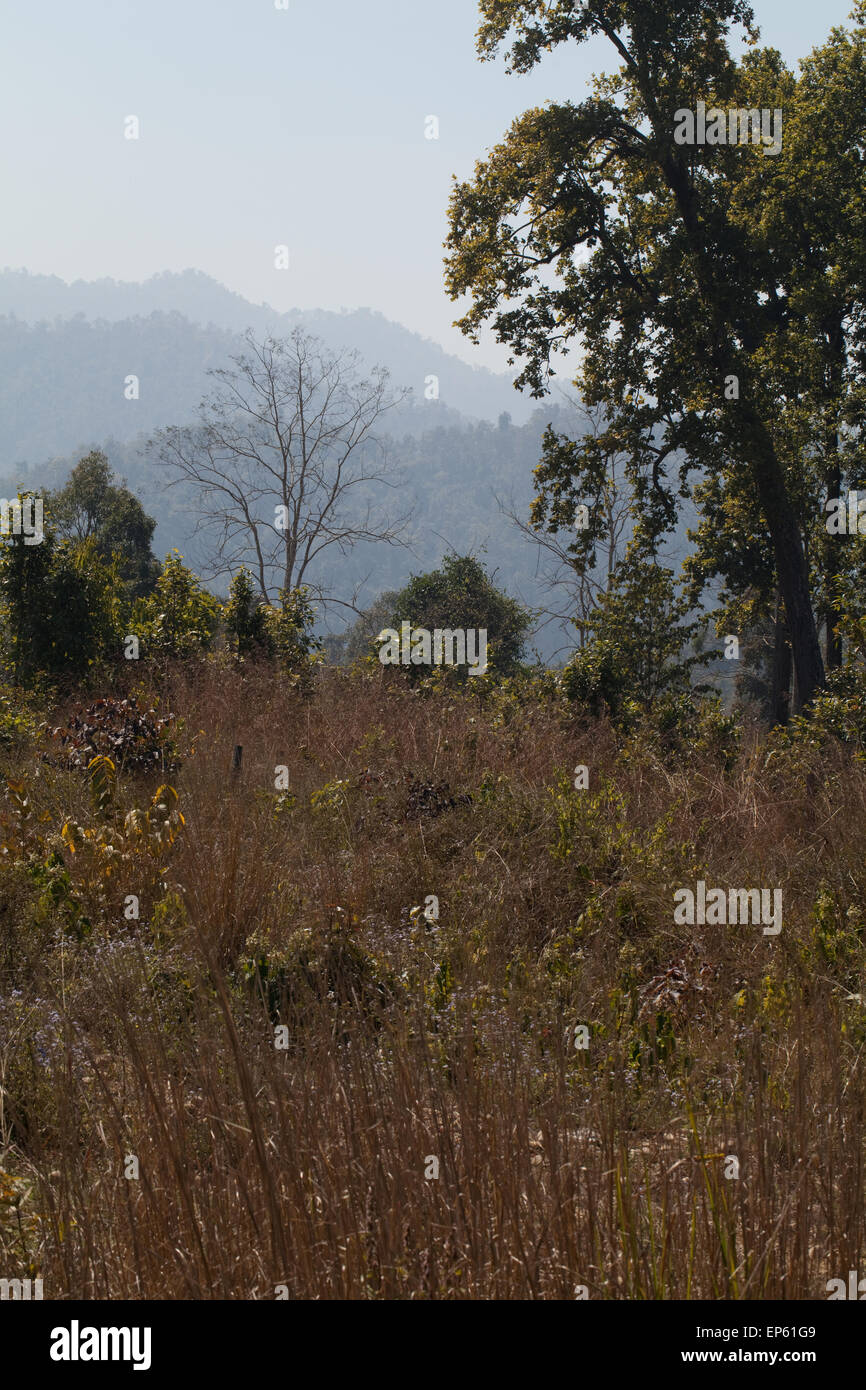 Bardia National Park. Nepal. Shiwalik Churia Hills. Impressive ...