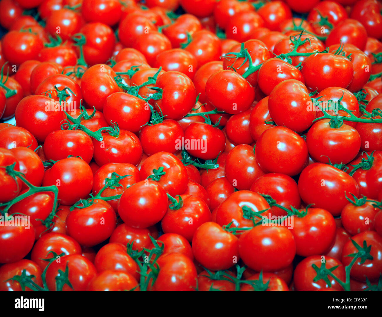 Group of freshly picked tomatoes on market stall Stock Photo - Alamy