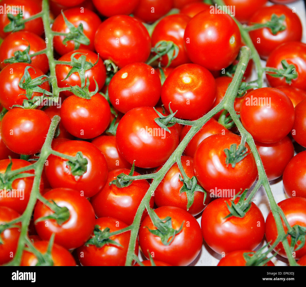Group of freshly picked tomatoes on market stall Stock Photo - Alamy