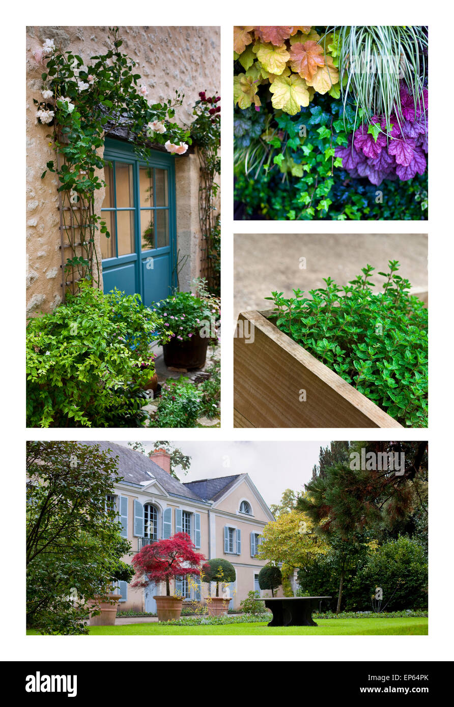 Plants, flowers and charming gardens on a collage Stock Photo - Alamy