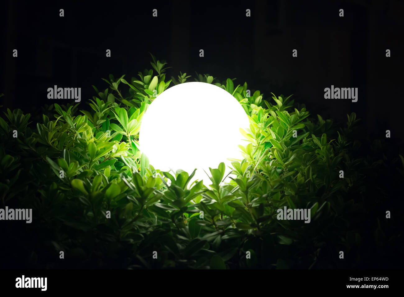 Street lamp in bush Stock Photo - Alamy