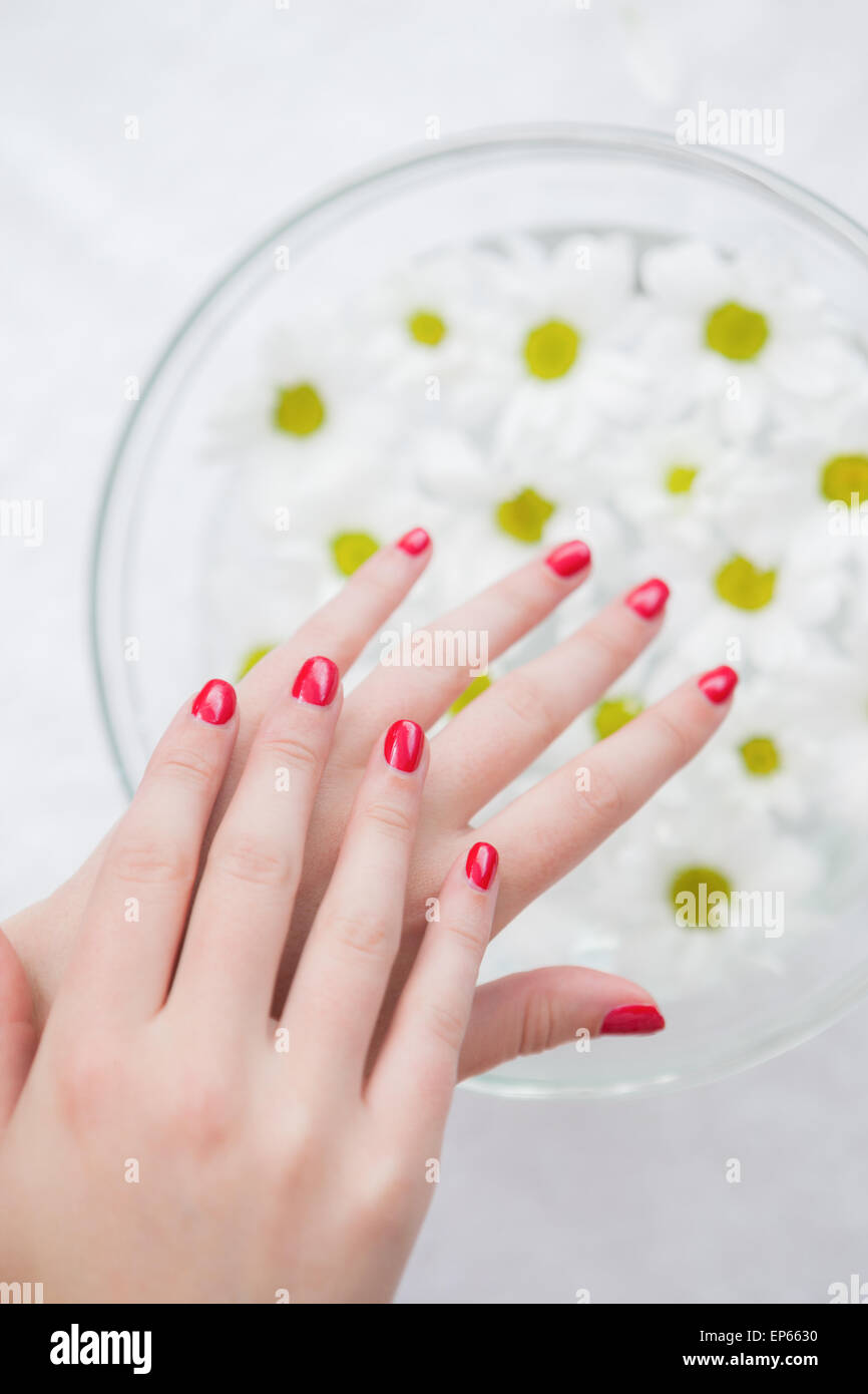 Ted flowers hi-res stock photography and images - Alamy