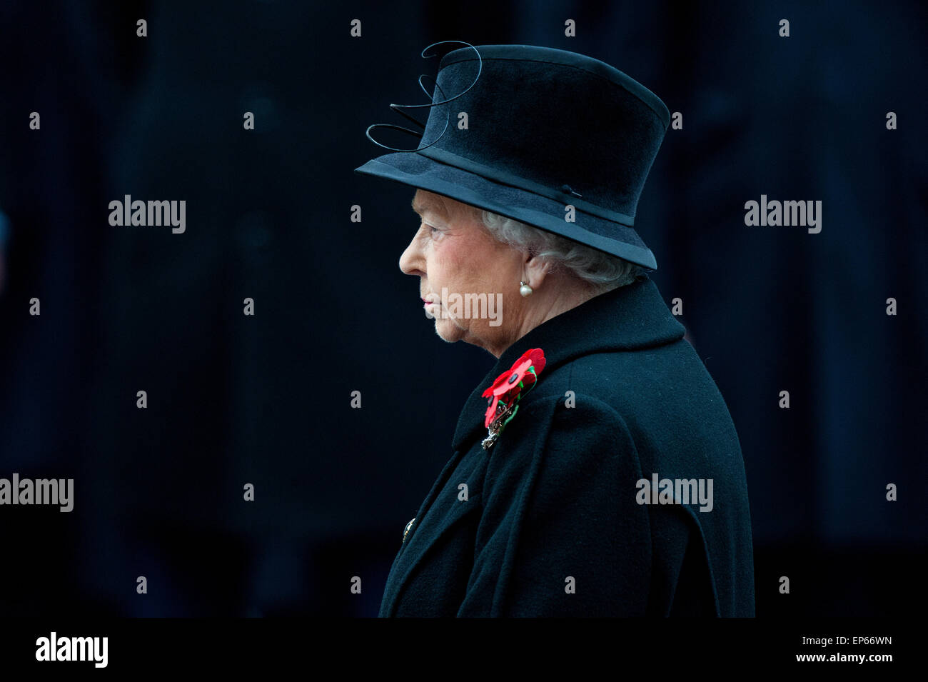 Queen elizabeth cenotaph 2014 hi-res stock photography and images - Alamy