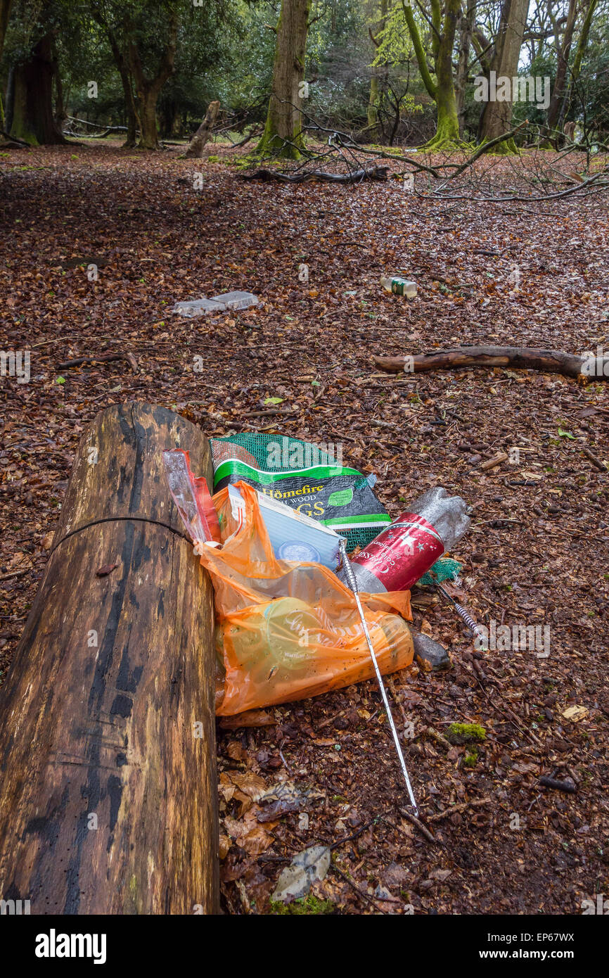 Litter left after picnic in the New Forest, Hampshire, England, UK ...