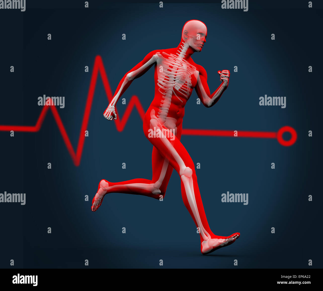 Digital body running against a heart rate line Stock Photo - Alamy