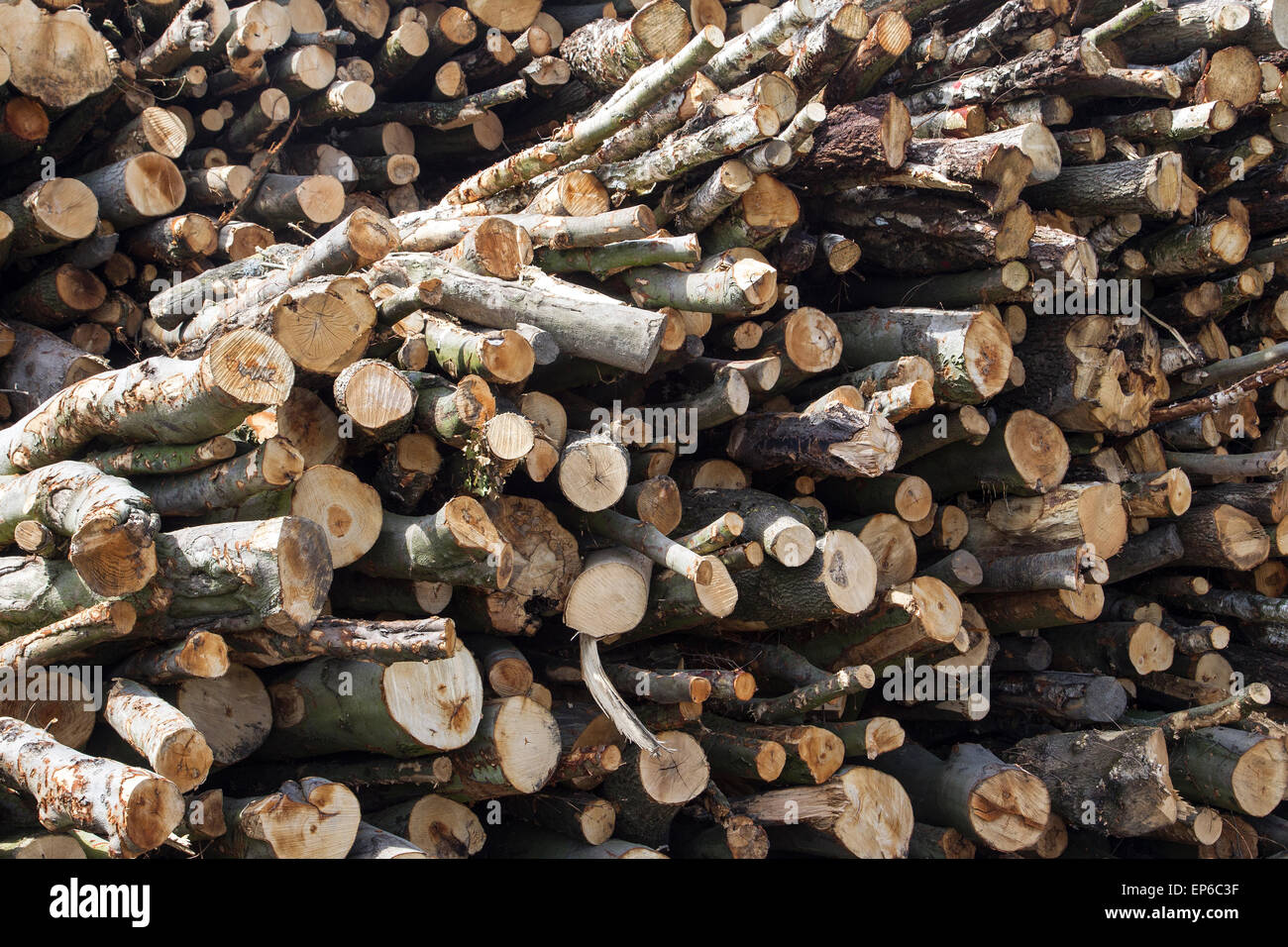 A pile of cut logs drying in the sun. Woodpile sourced from sustainably ...