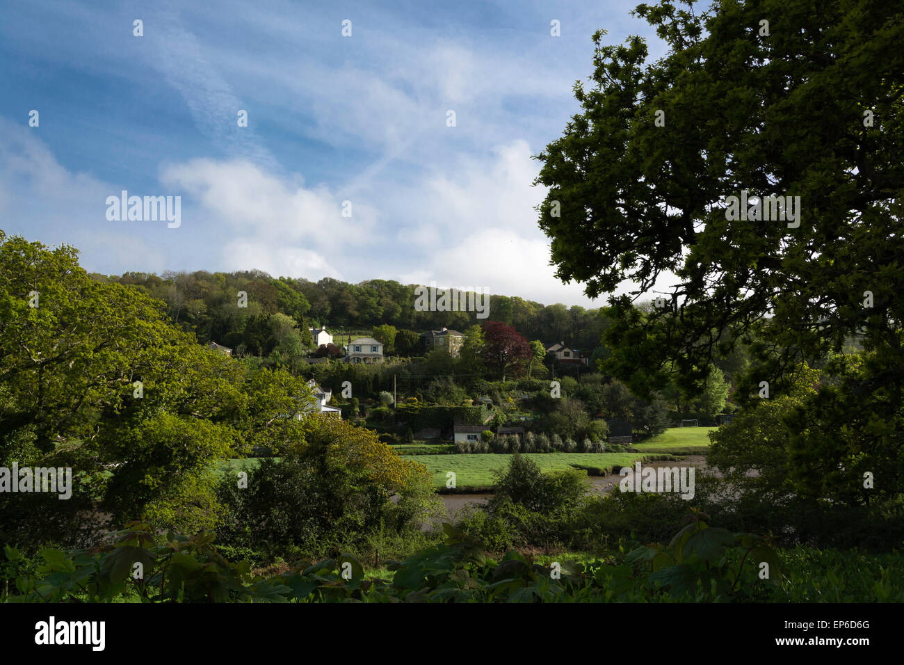 Green hills and trees hi-res stock photography and images - Alamy