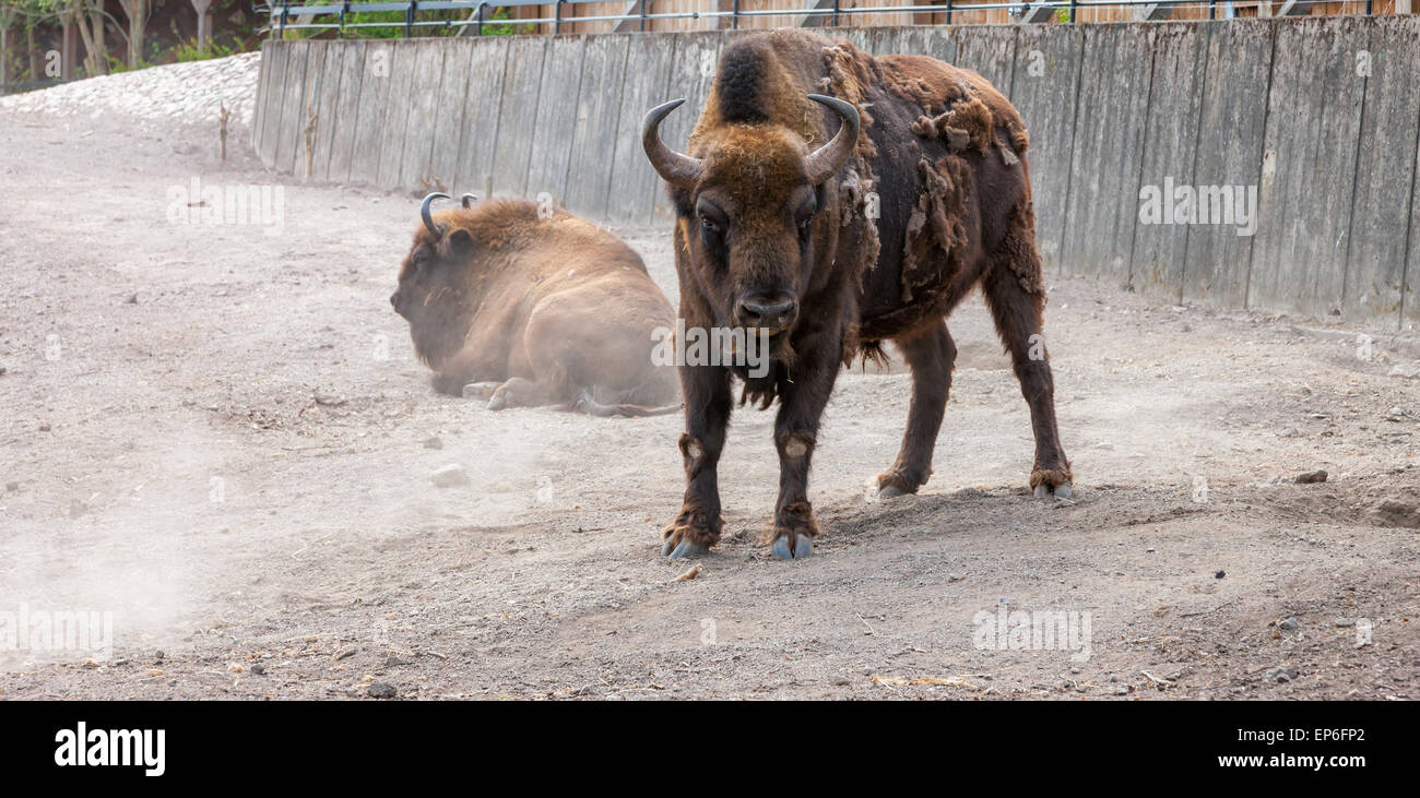 O prairie hi-res stock photography and images - Alamy