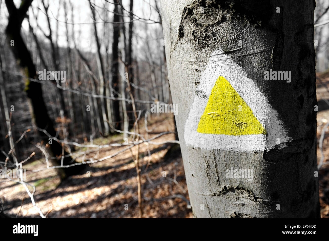 Yellow triangle hi-res stock photography and images - Alamy