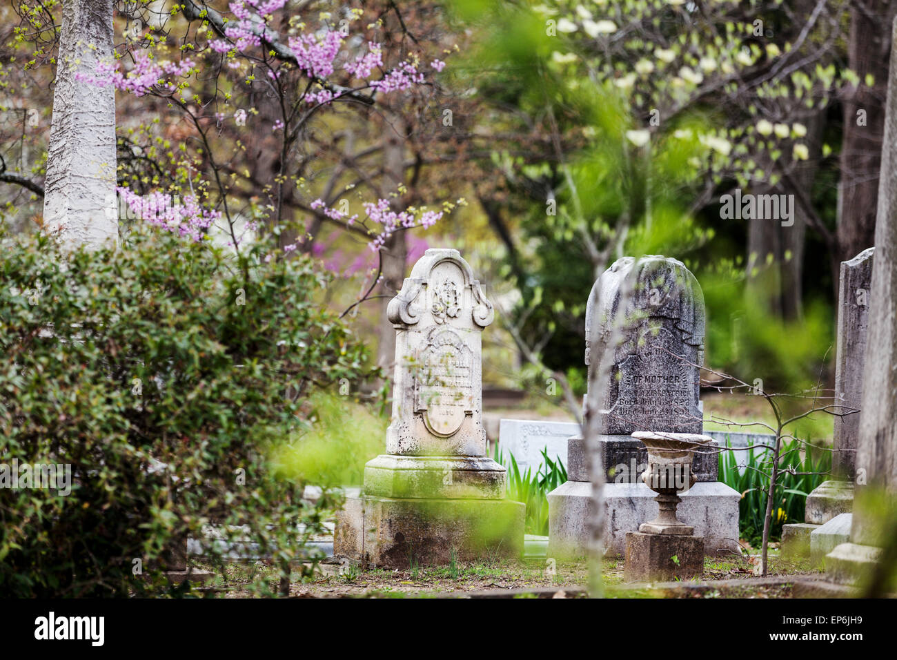 Oakland Cemetery, Atlanta, Georgia, USA Stock Photo - Alamy