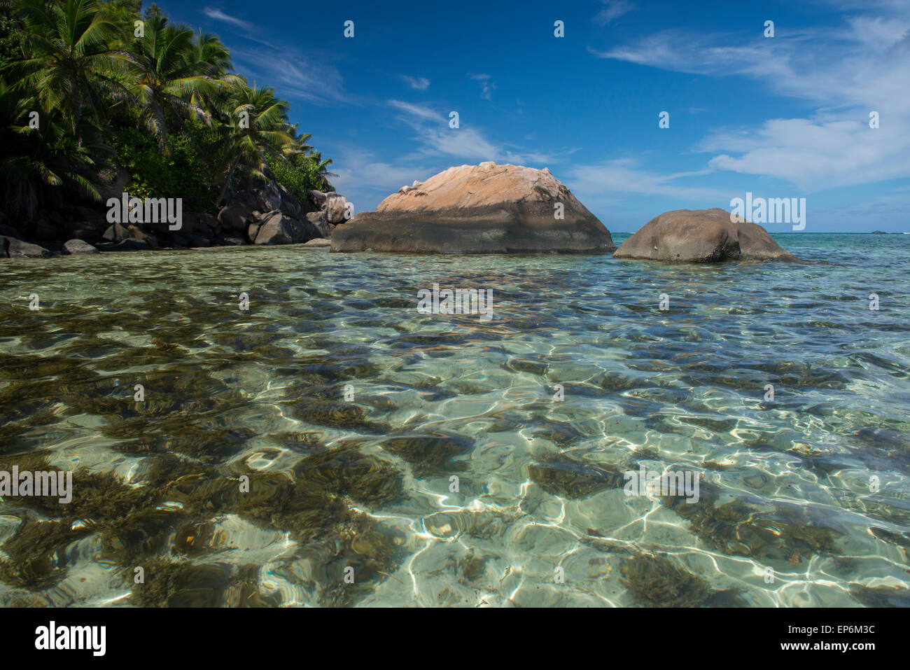 Indian Ocean, Seychelles, Mahe, St. Anne Marine National Park, Moyenne ...