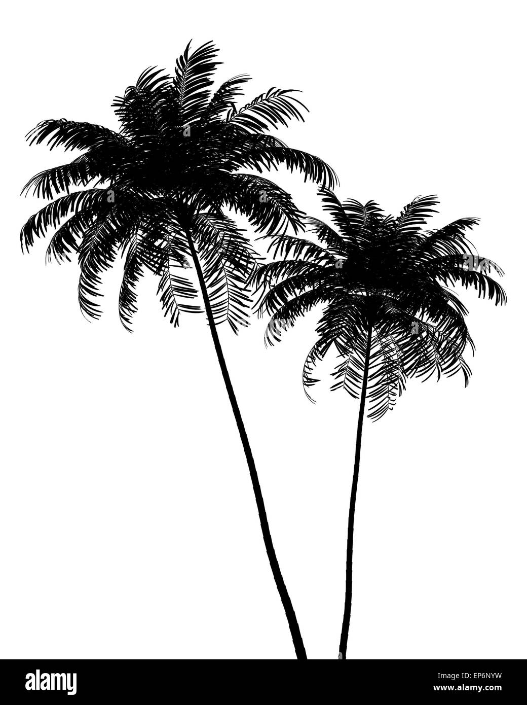 Leaf outline hi-res stock photography and images - Alamy