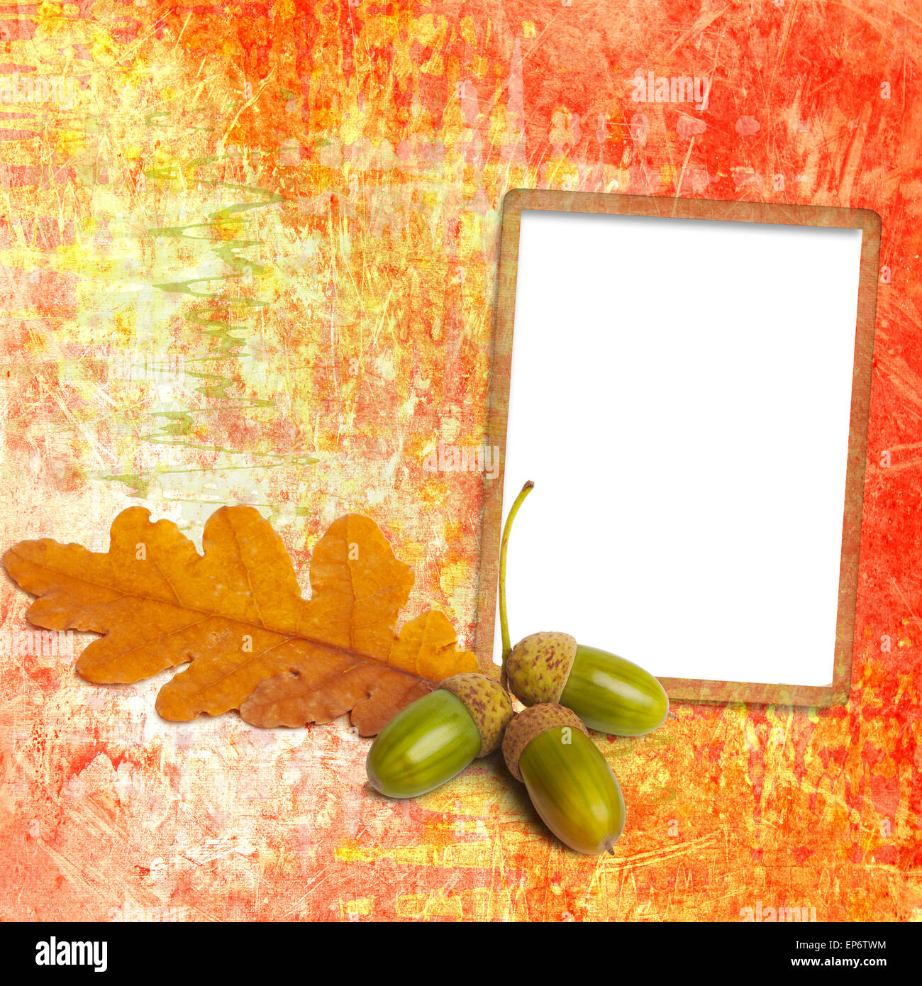 Acorn frame hi-res stock photography and images - Alamy