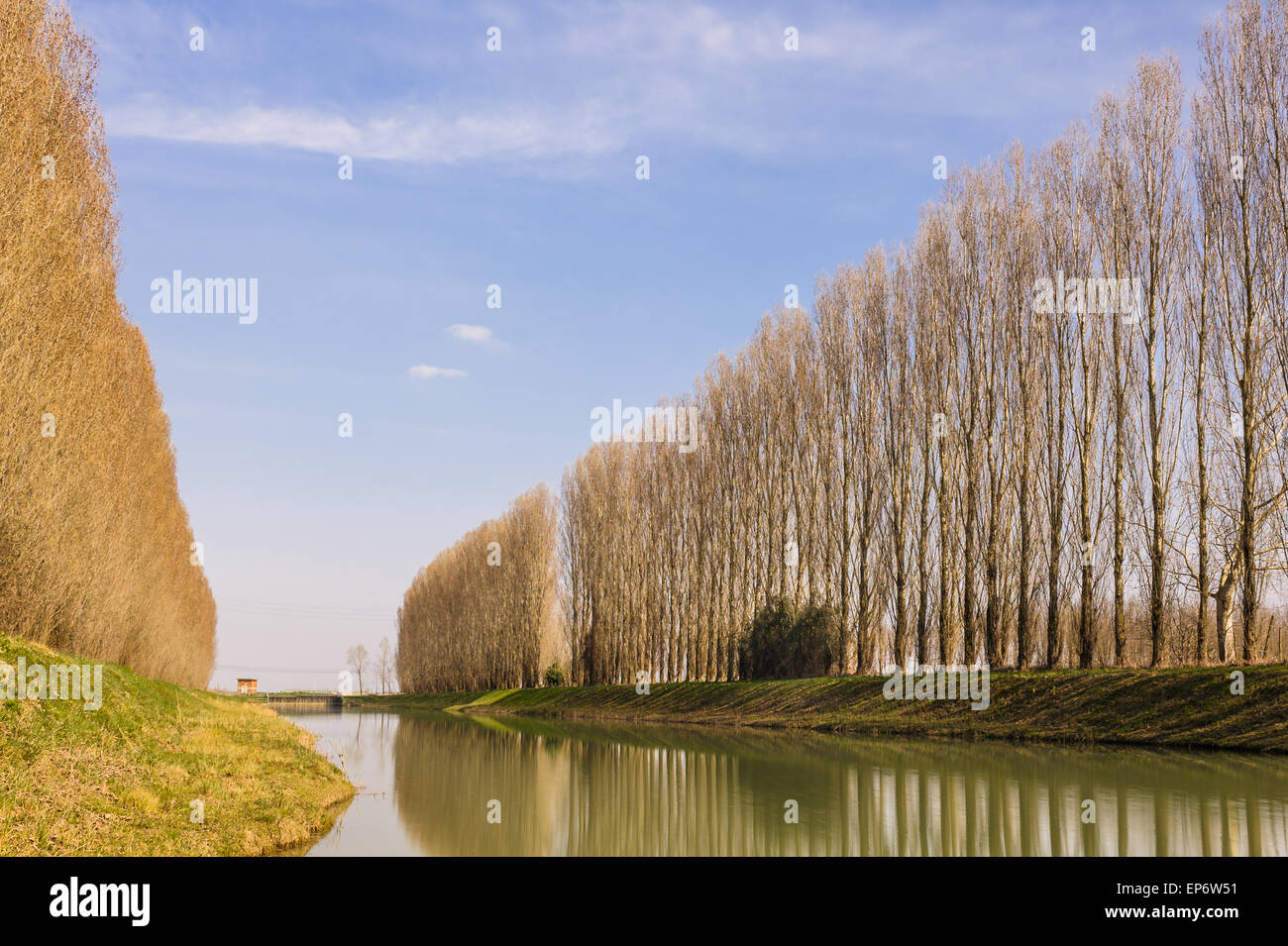 Scenic view two trees hi-res stock photography and images - Alamy