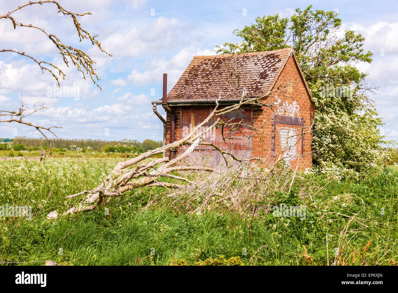 Old derelict brick building overgrown with weeds Stock Photo - Alamy