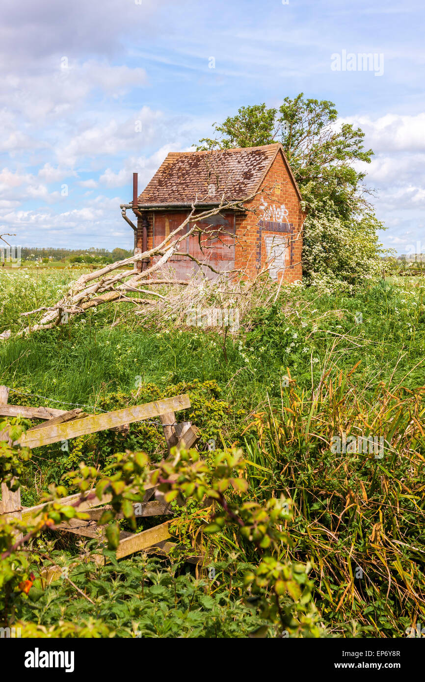 Old derelict brick building overgrown with weeds Stock Photo - Alamy