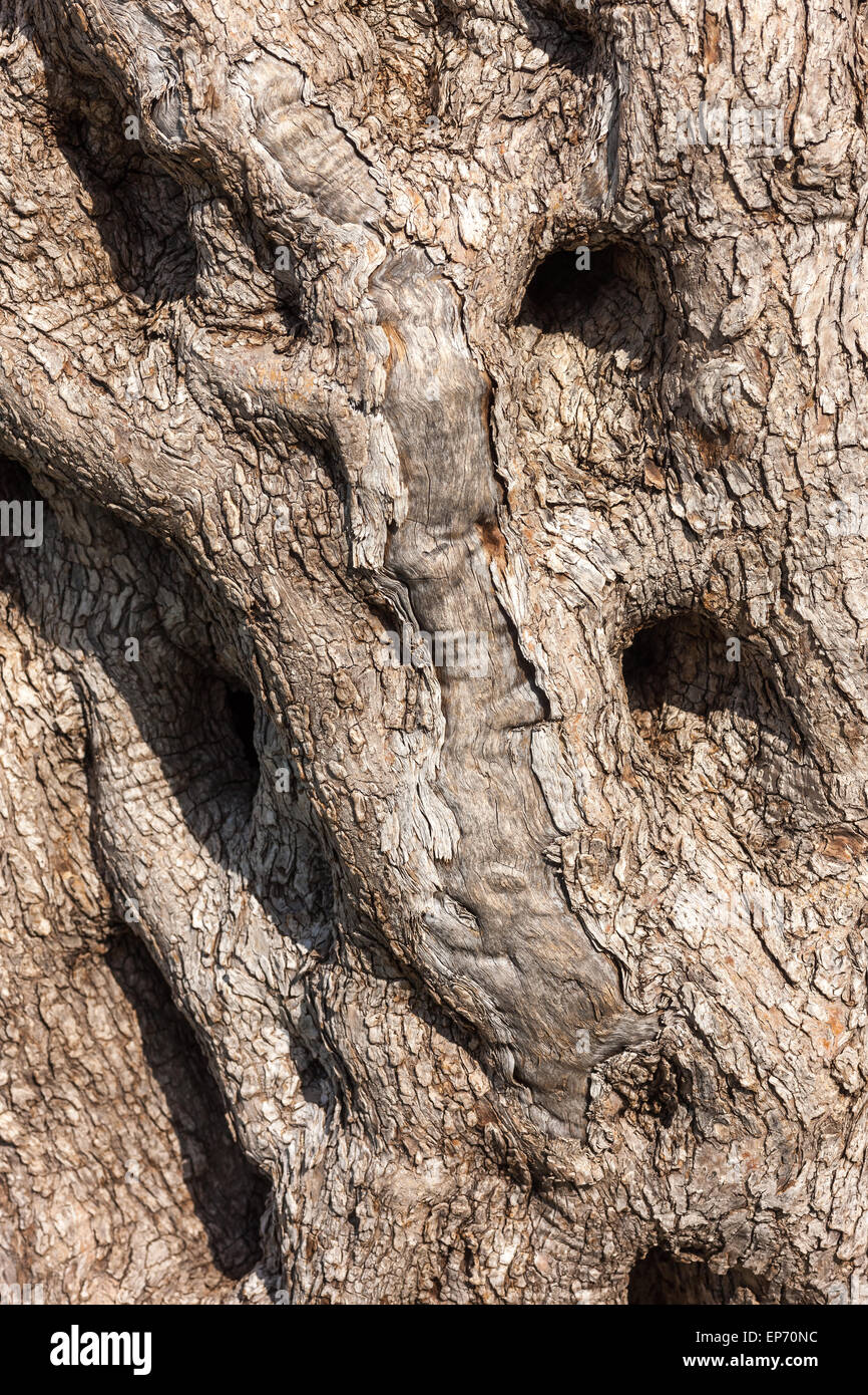 natural tree bark Stock Photo - Alamy