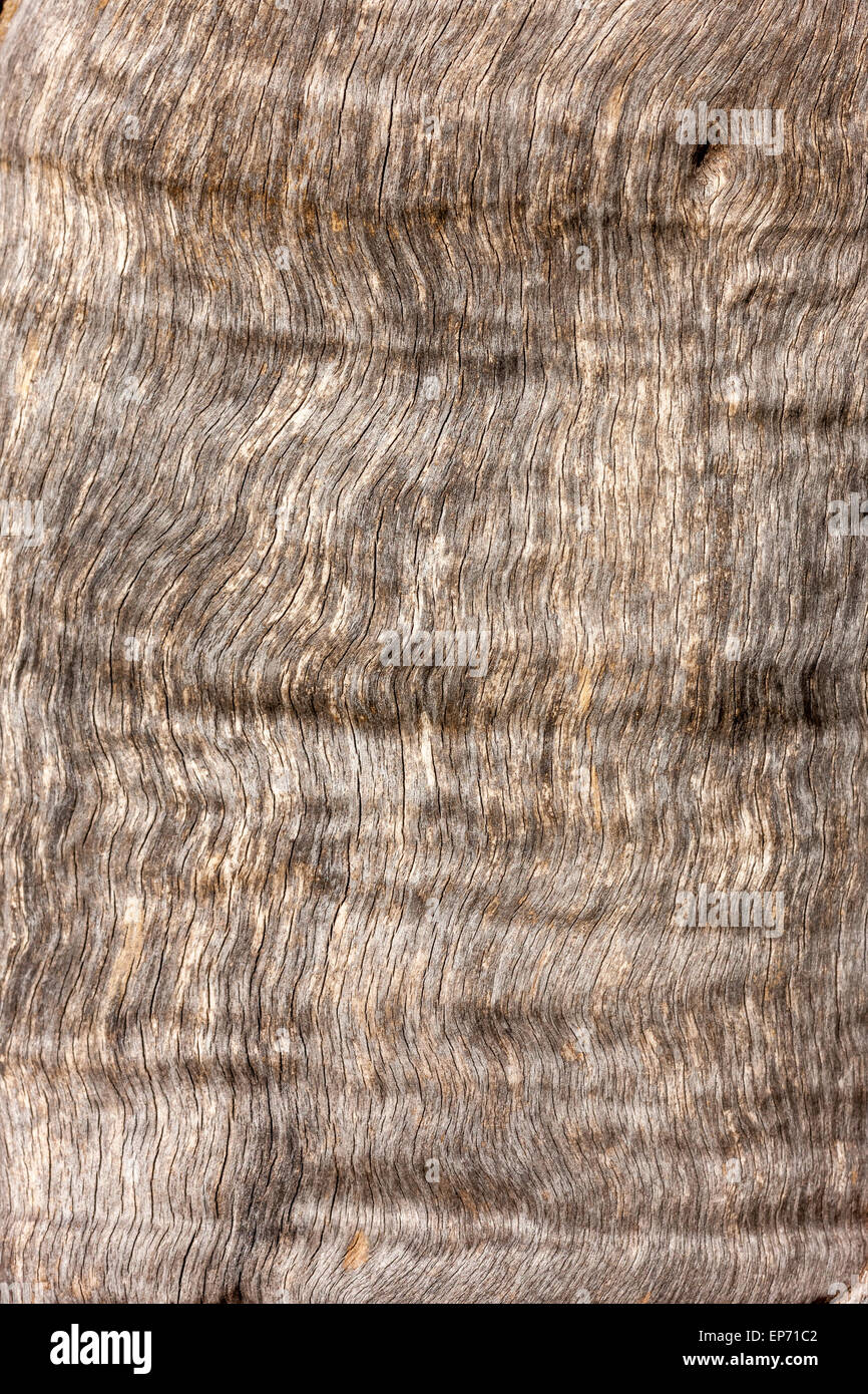 natural tree bark Stock Photo - Alamy