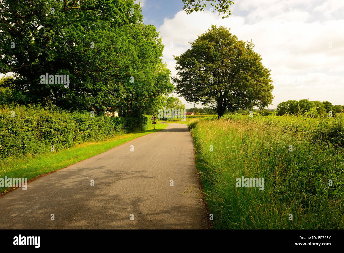 Country road with no traffic Stock Photo - Alamy