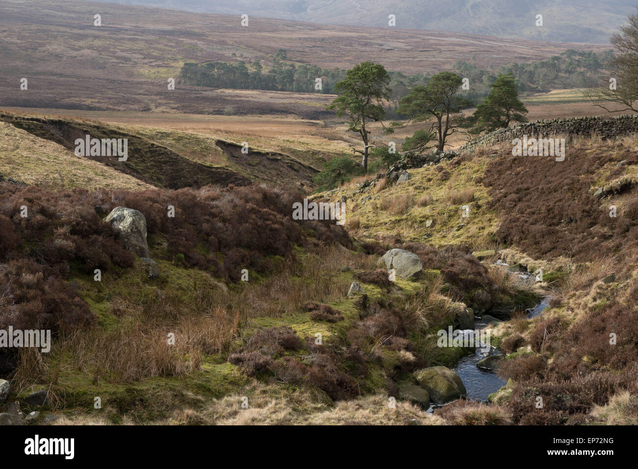 Marshaw Lancashire High Resolution Stock Photography and Images - Alamy