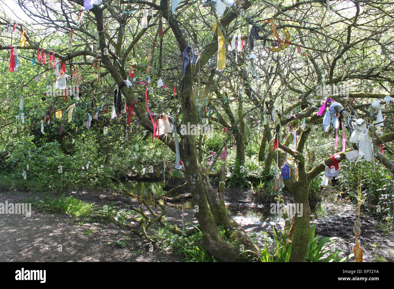 clodgy tree pagan remembrance by madron wishing well penwith west ...