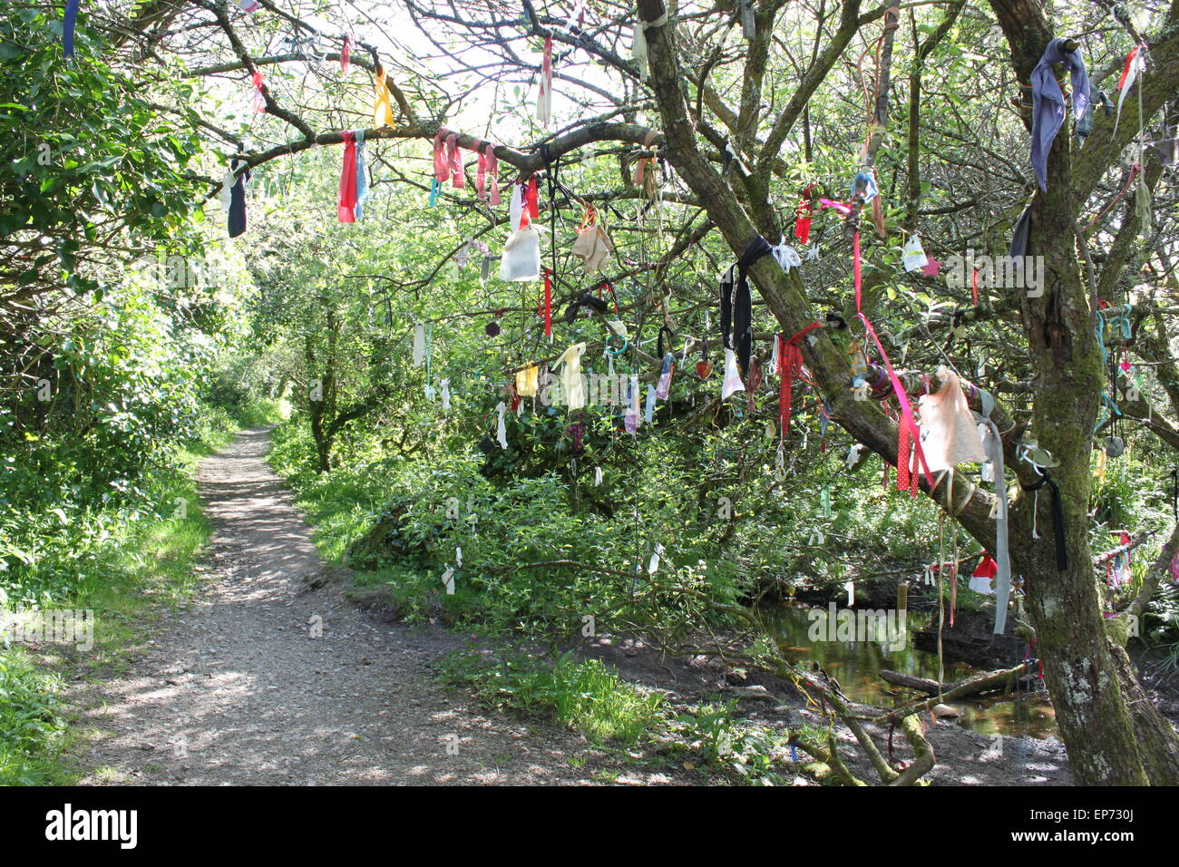 clodgy tree pagan remembrance by madron wishing well penwith west ...