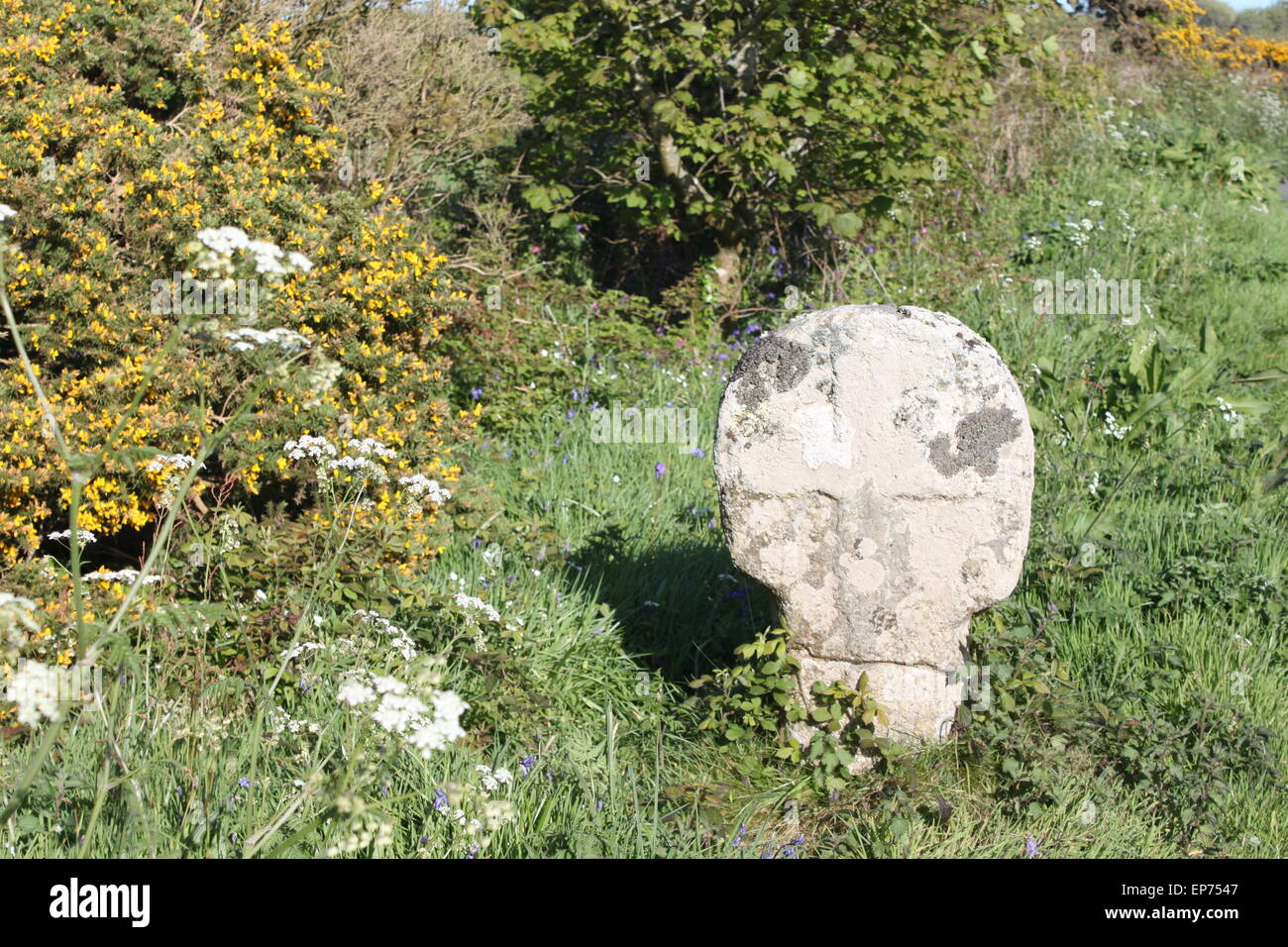 old granite celtic cross in penwith west cornwall near madron wishing ...