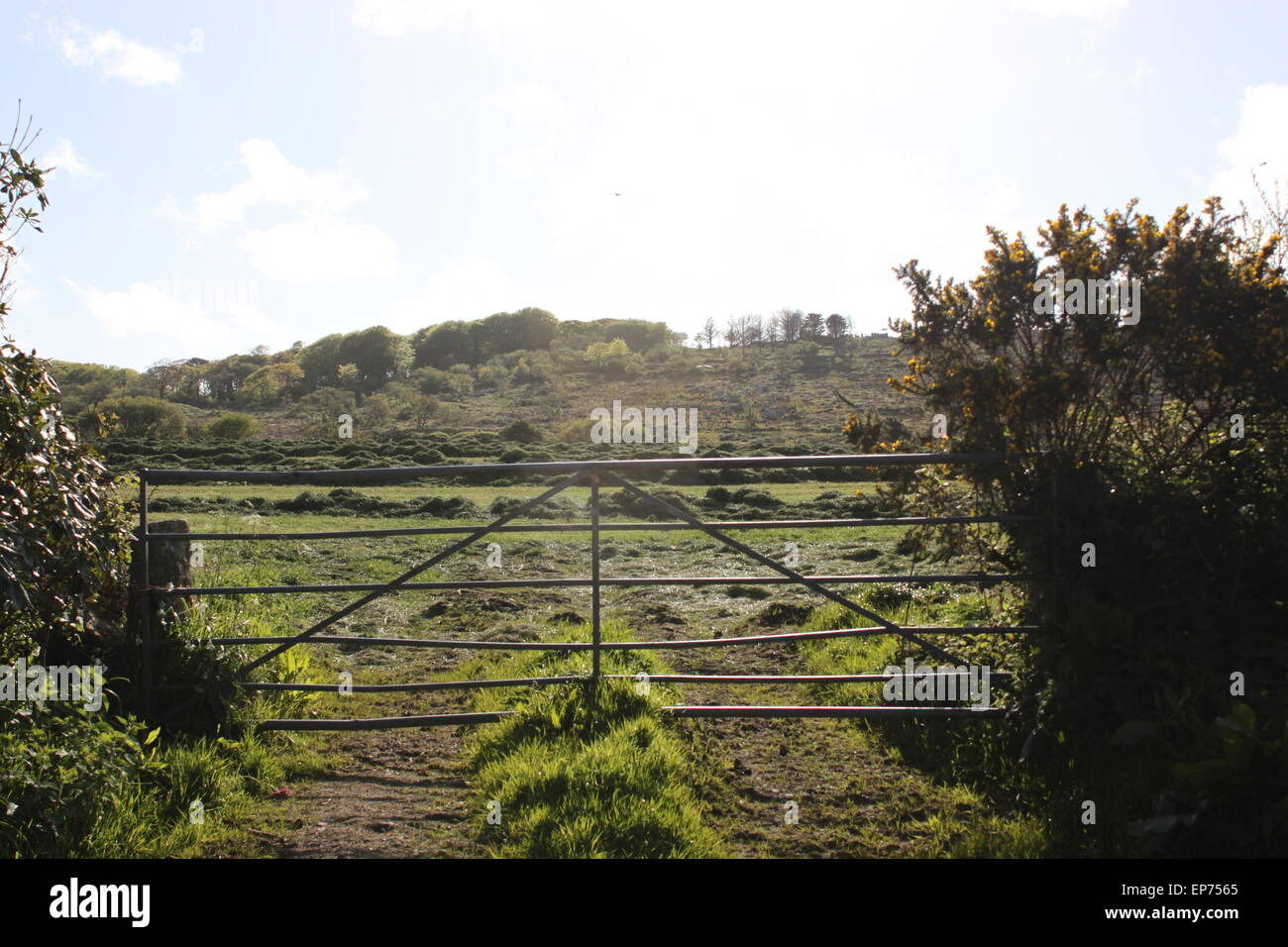 lanscape of fields and sky in west cornwall on a sunny summer day with ...