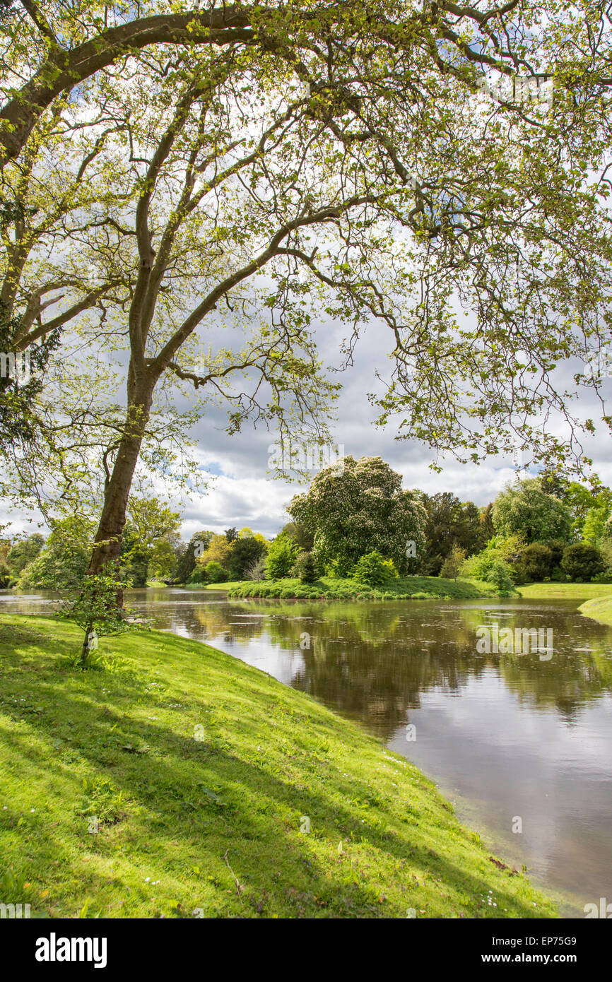 Croome Court's attractive parkland by Capability Brown, Worcestershire ...