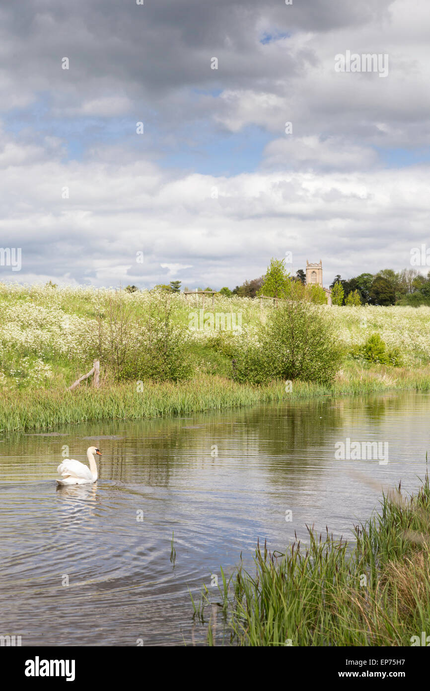 Croome Court's attractive parkland and St Mary Magdalene's Church by ...