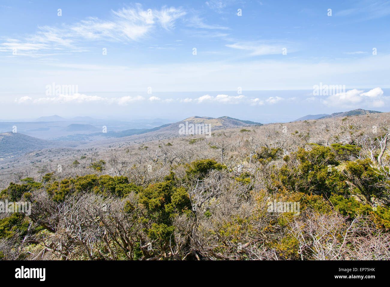 Oreum hi-res stock photography and images - Alamy