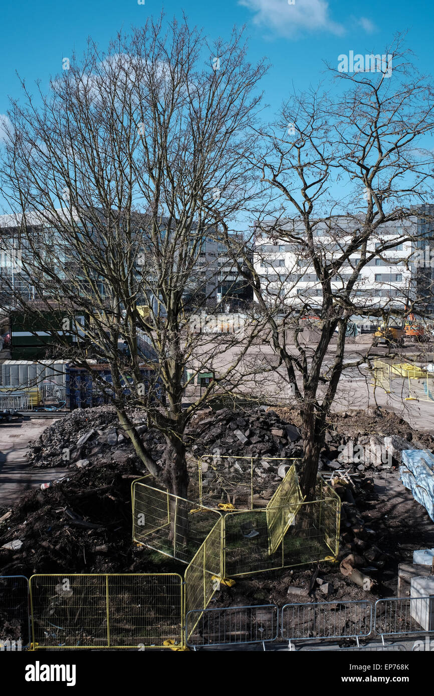 Tree construction hi-res stock photography and images - Alamy