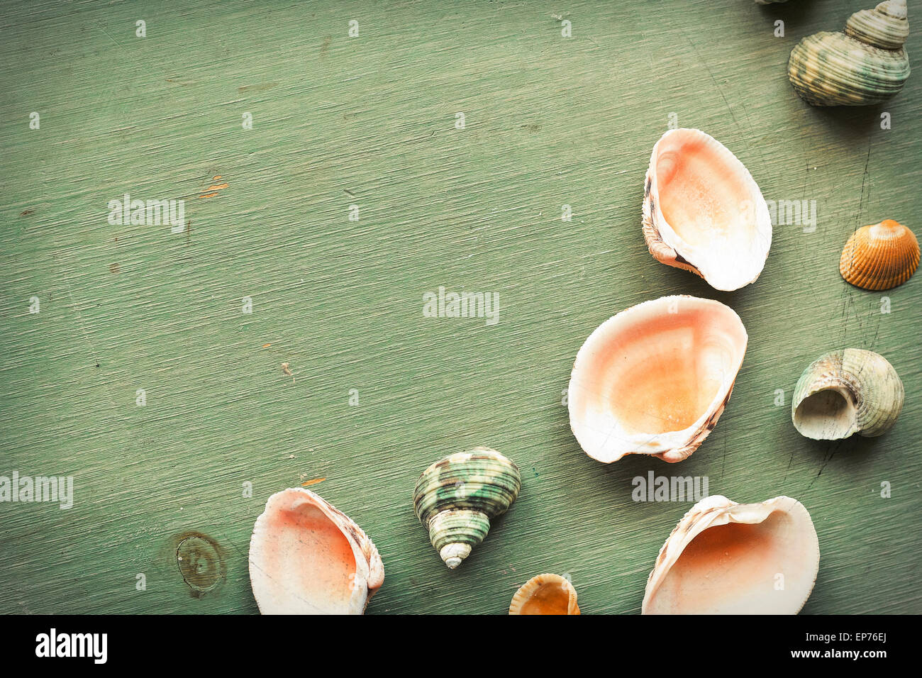 Several unique seashells on a grungy wood background Stock Photo - Alamy