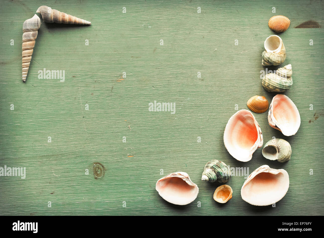 Several unique seashells on a grungy wood background Stock Photo - Alamy