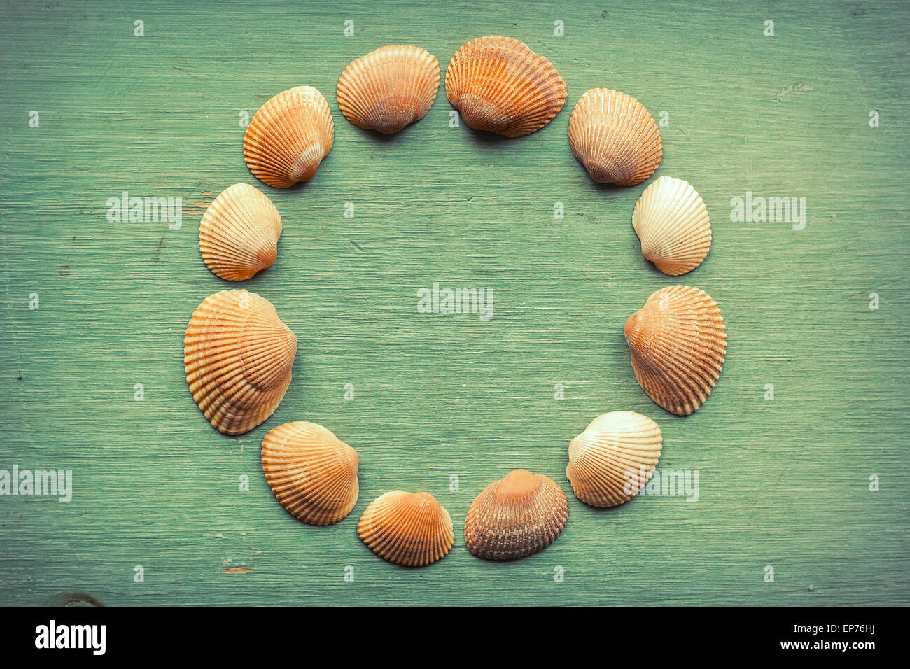Several unique seashells on a grungy wood background Stock Photo - Alamy