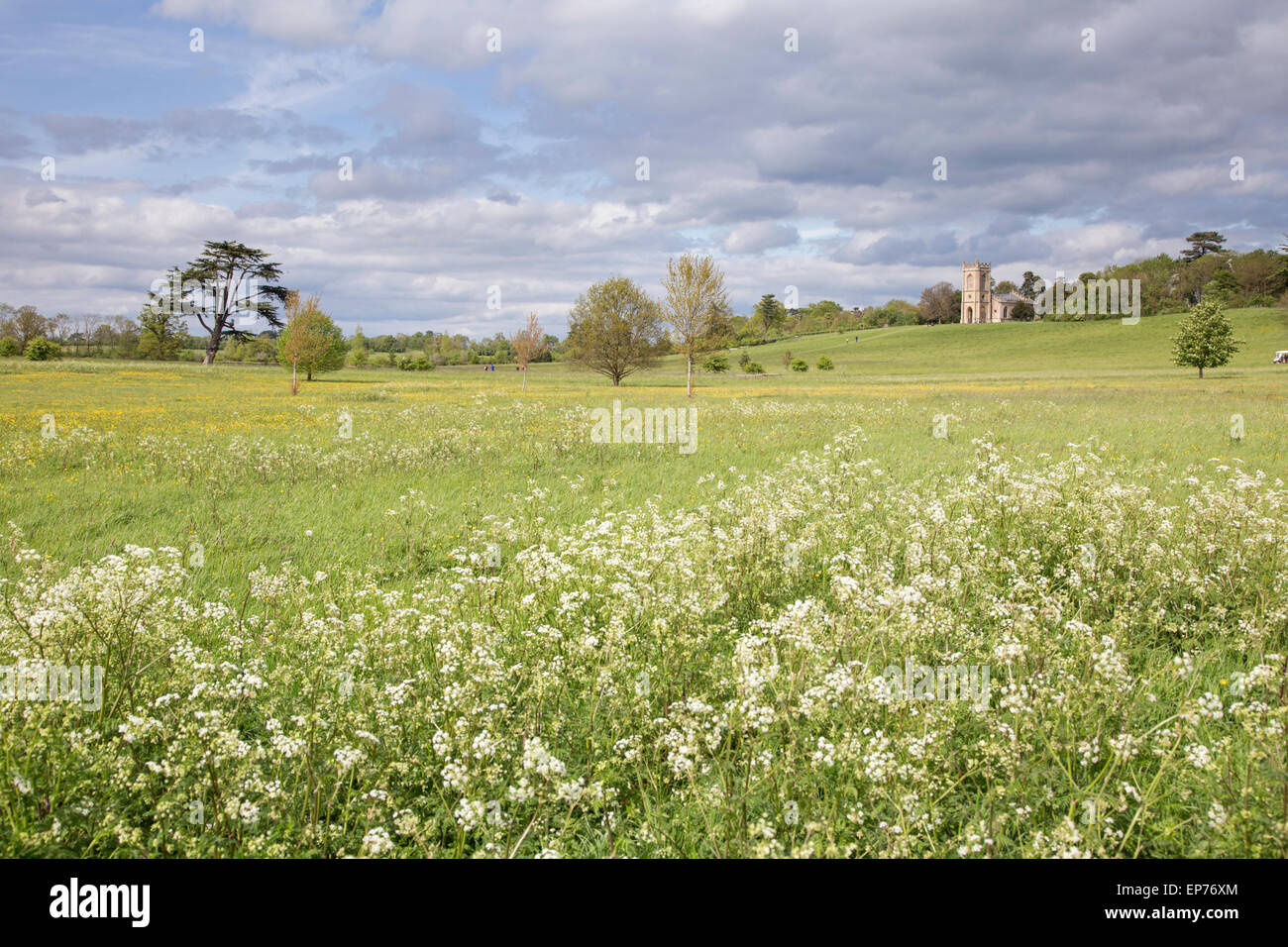 Croome Court's attractive parkland and St Mary Magdalene's Church by ...