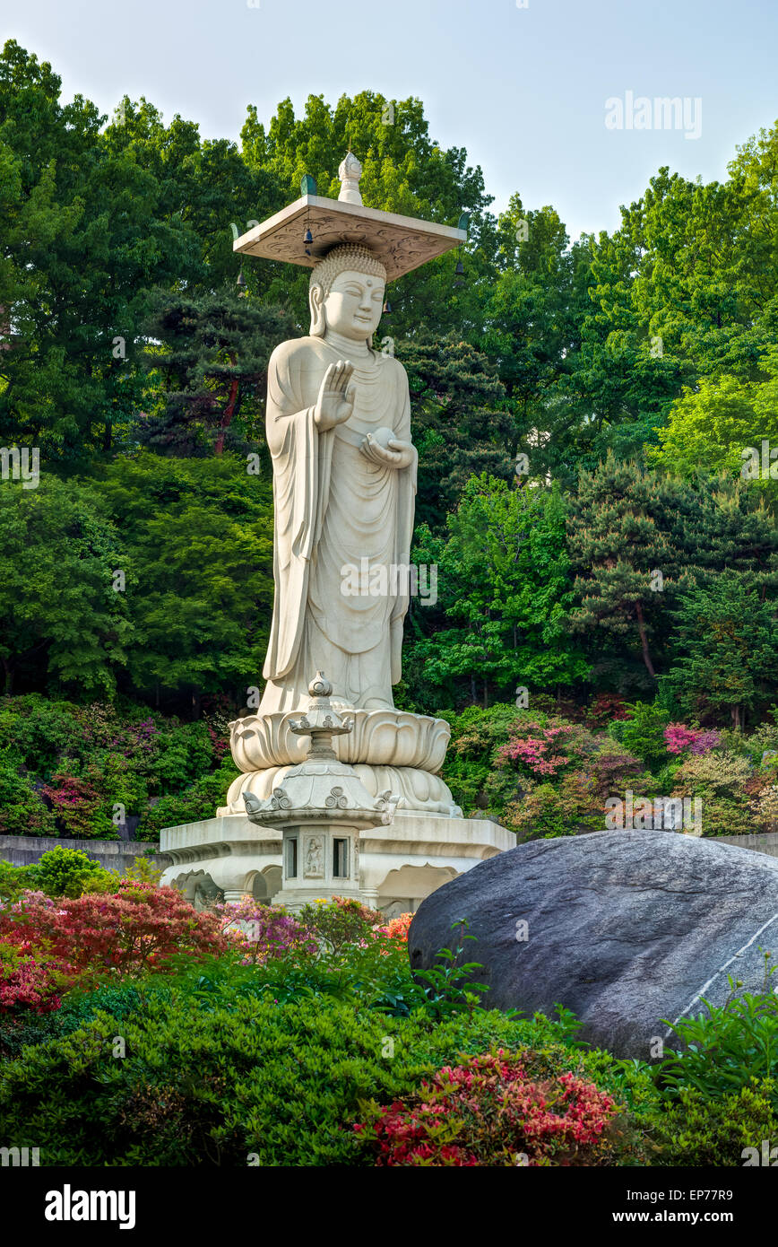 Seoul Buddha Statues