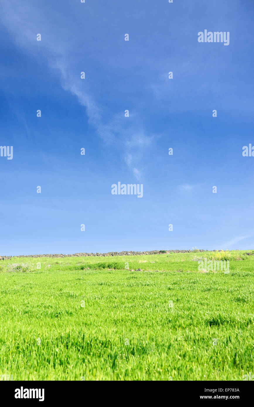 Clear Sky Landscape