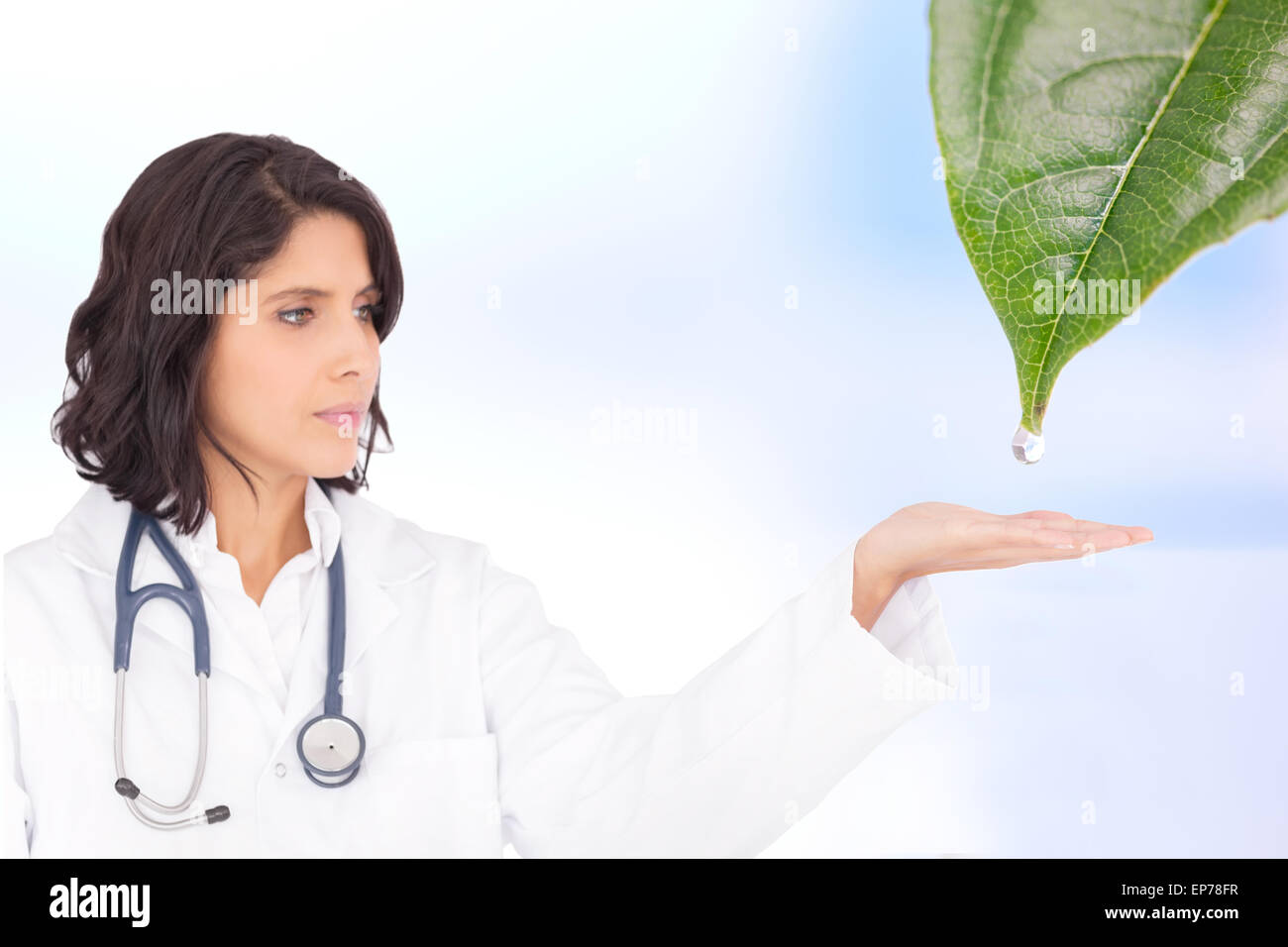 Doctor reaching out to dew drop falling from leaf Stock Photo - Alamy