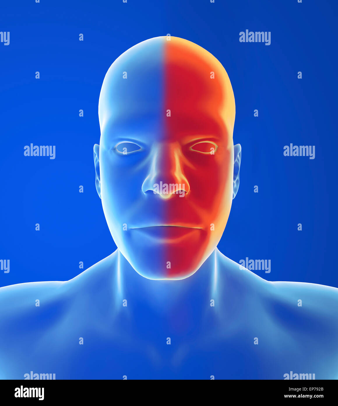 Type headache: Migraine pain, nausea and visual changes are typical of ...